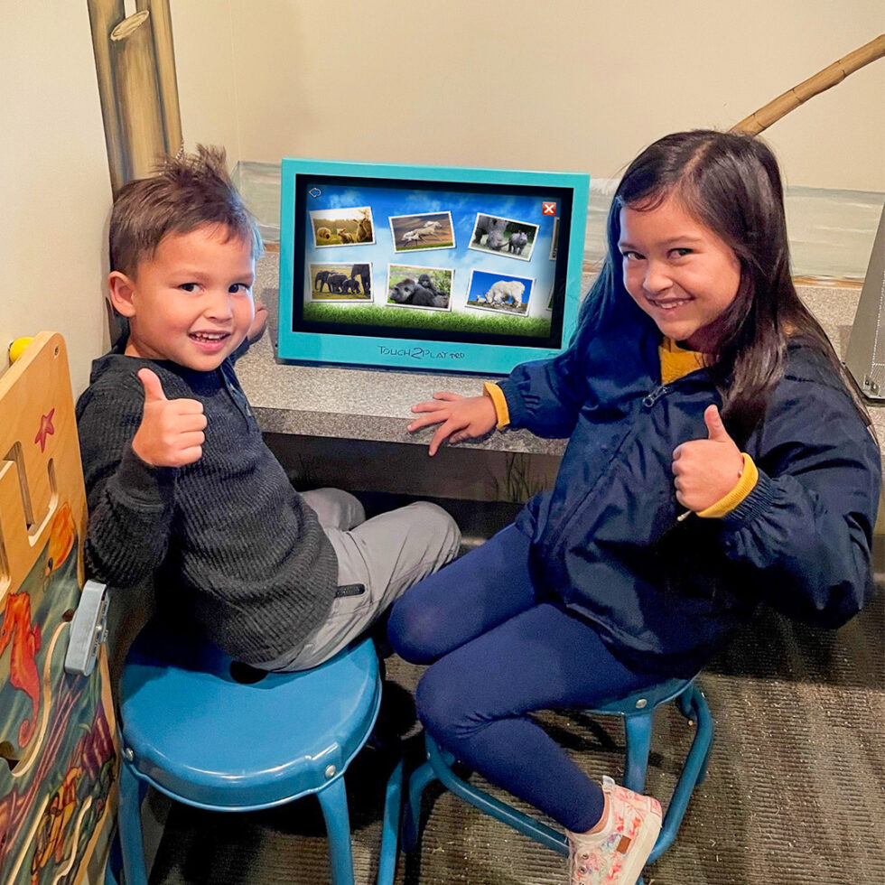 Touch2Play: The Benchmark for Safe, Inclusive, and Low-Maintenance Play ...